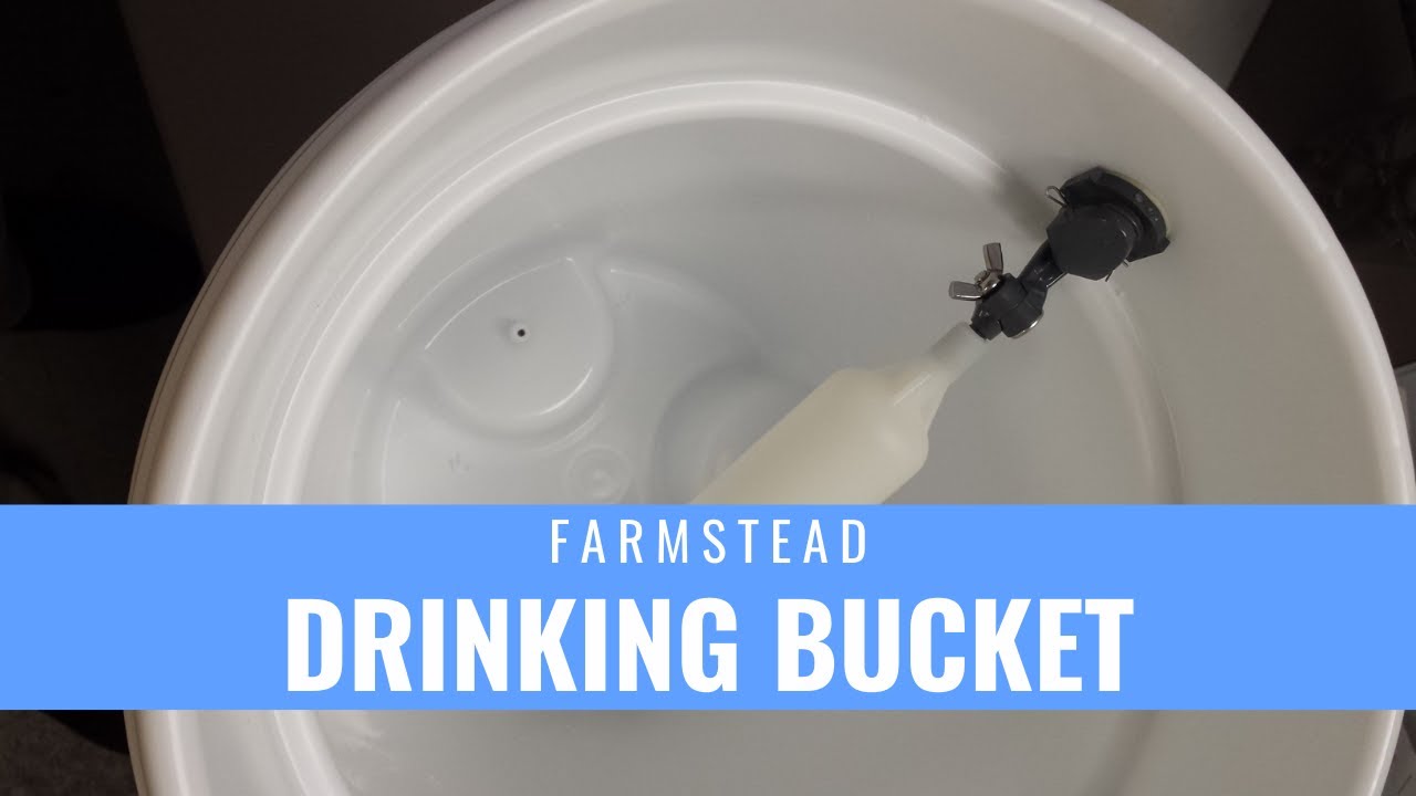 Ultimate Chicken Bucket Waterer - YouTube