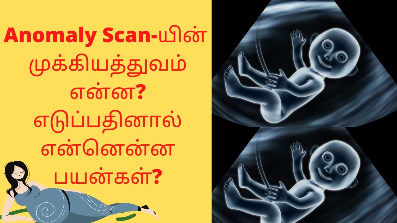 Usage of Anomaly Scan | Details of Anomaly Scan | Anomaly Scan ...