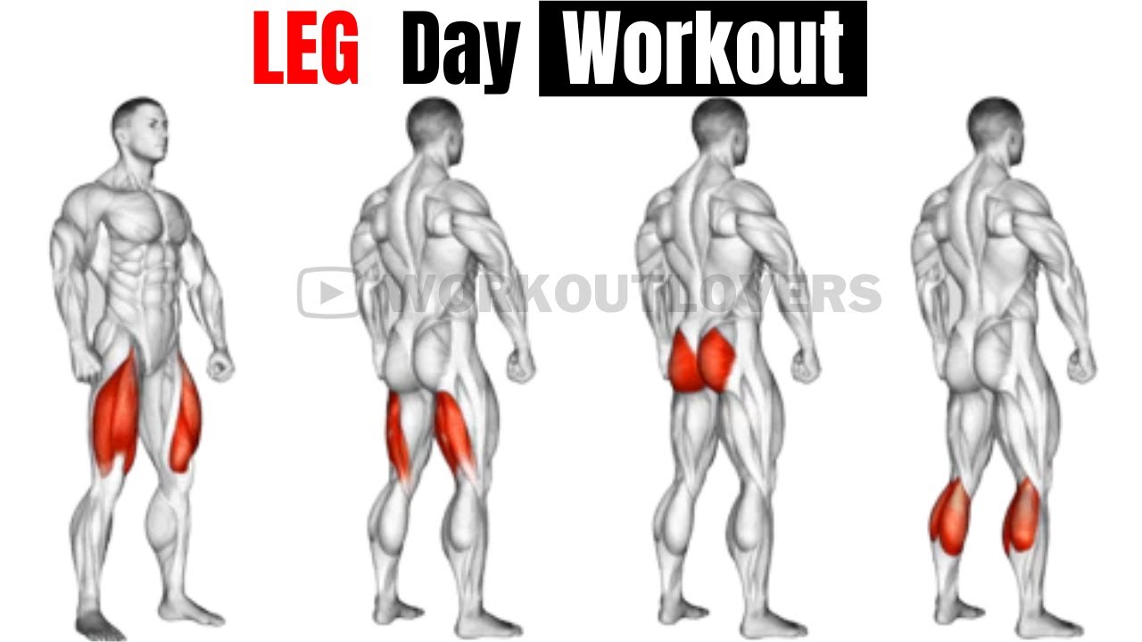 8 Exercises To Get Bigger Leg Muscle Youtube