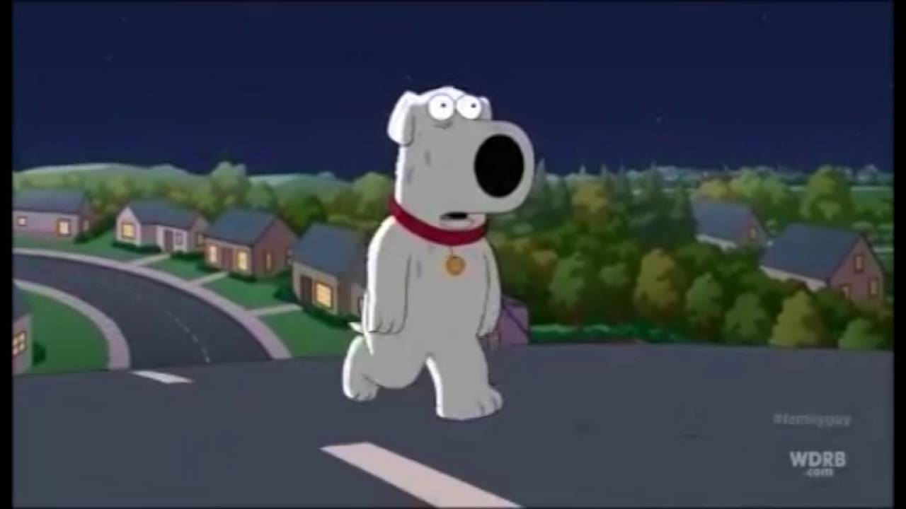 from alcoholist in a rehab point of you - Family guy Brian running date ...