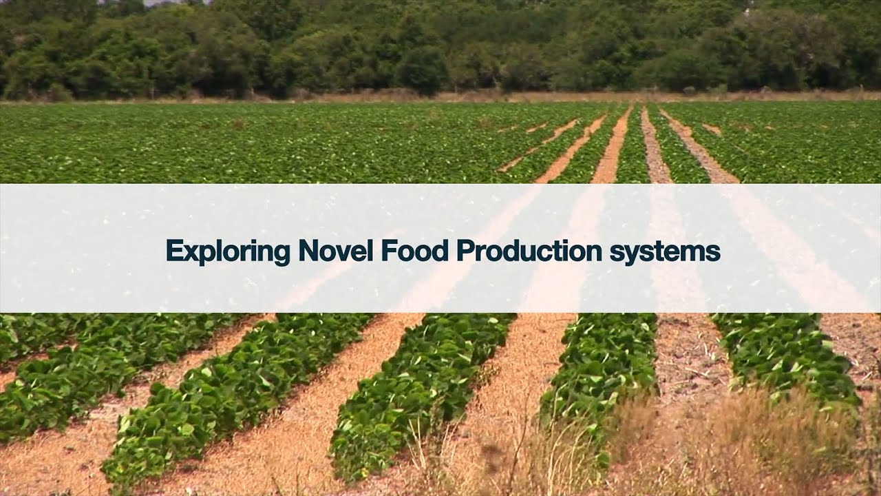 Exploring Novel Food Production Systems (Alternative Proteins) - YouTube