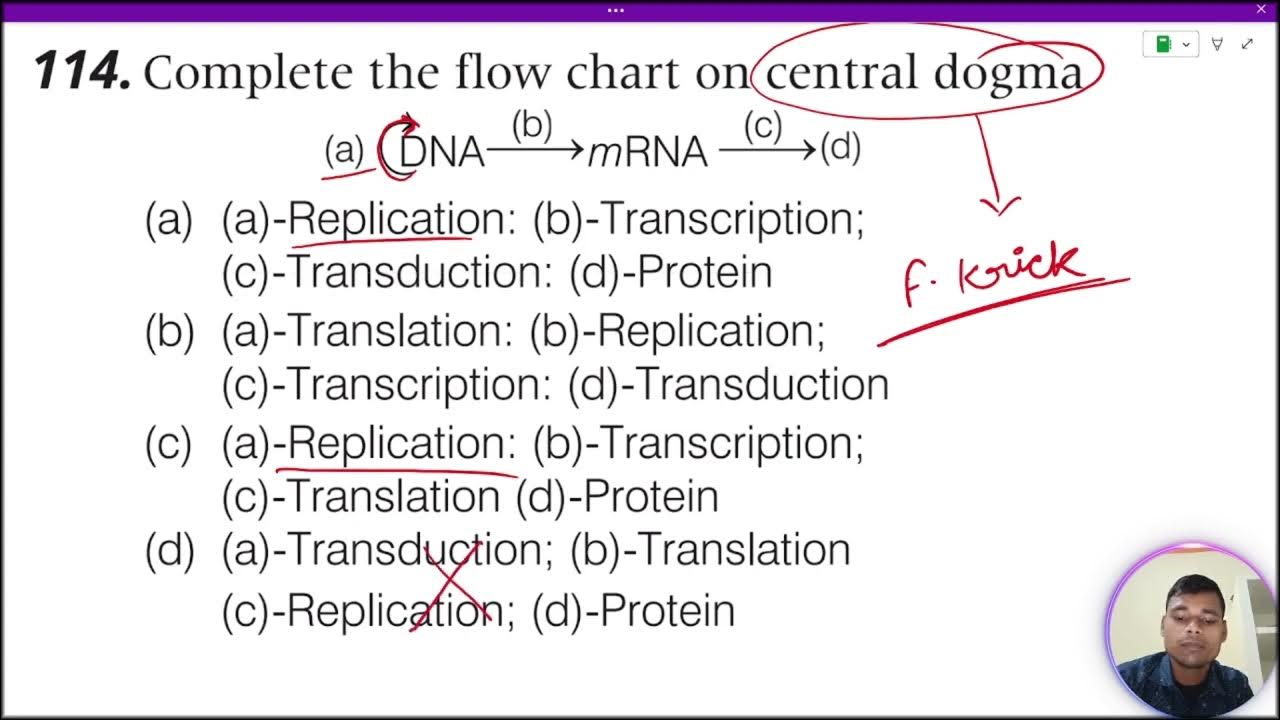 Complete the flow chart on central dogma (a) (b) →mRNA (c) → ( d ) (1 ...