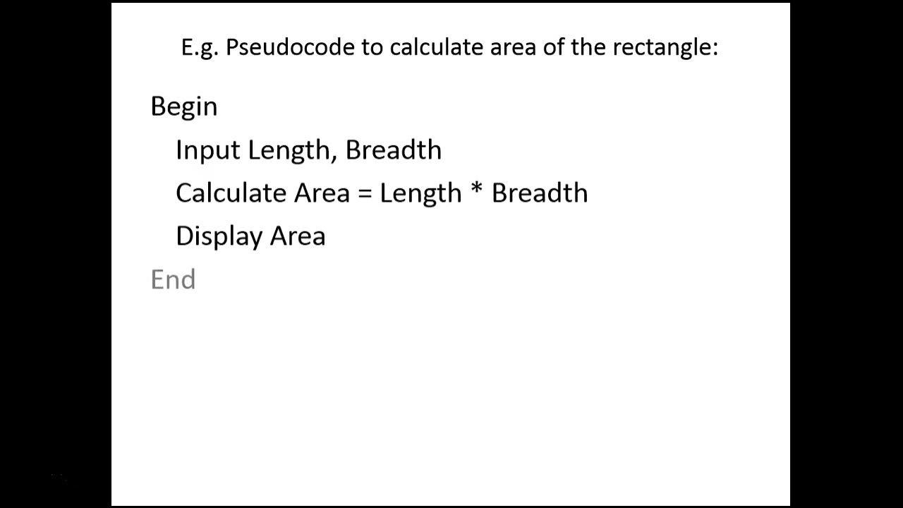 #3 Pseudocode - YouTube