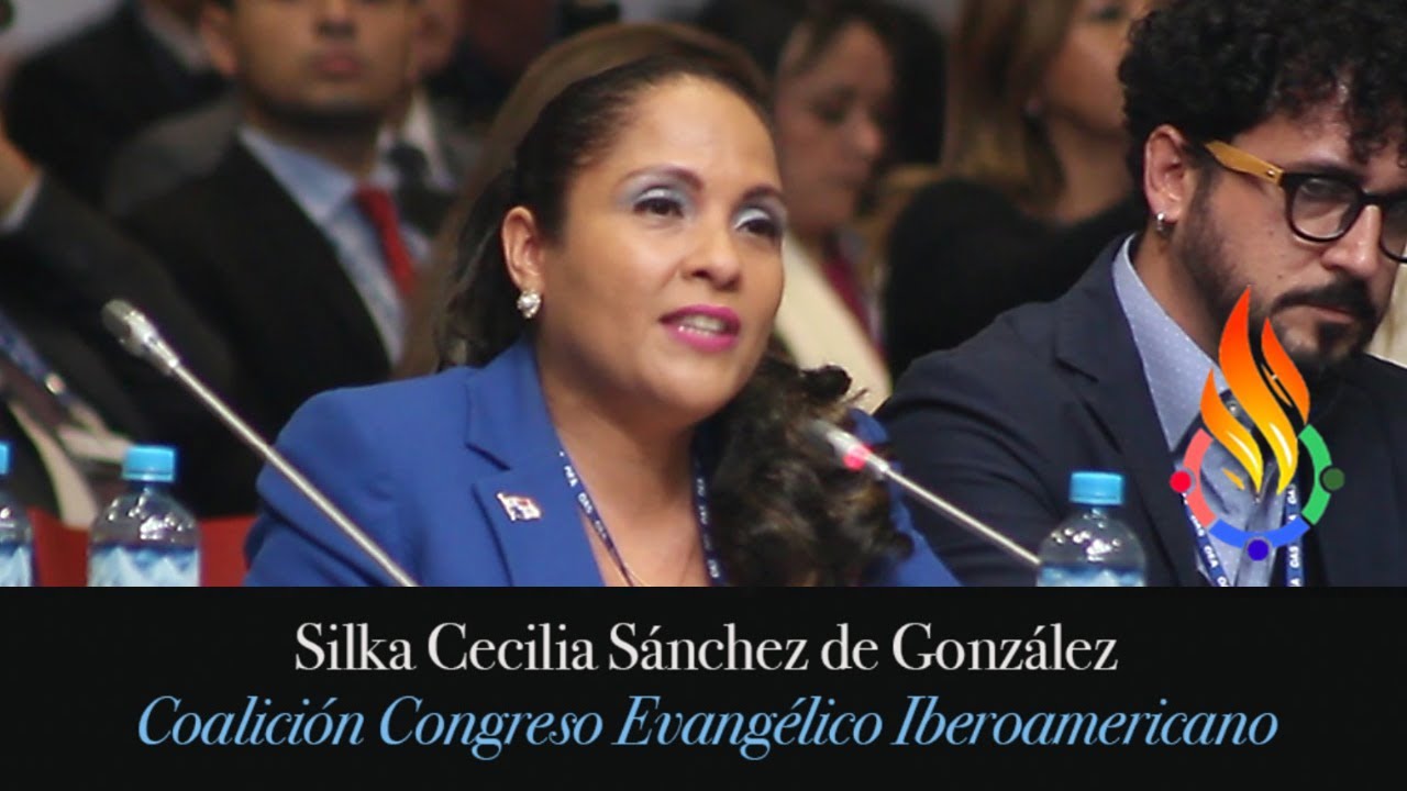 VOCERA ANTE LA OEA 2022: Silka Cecilia Sánchez de González - YouTube