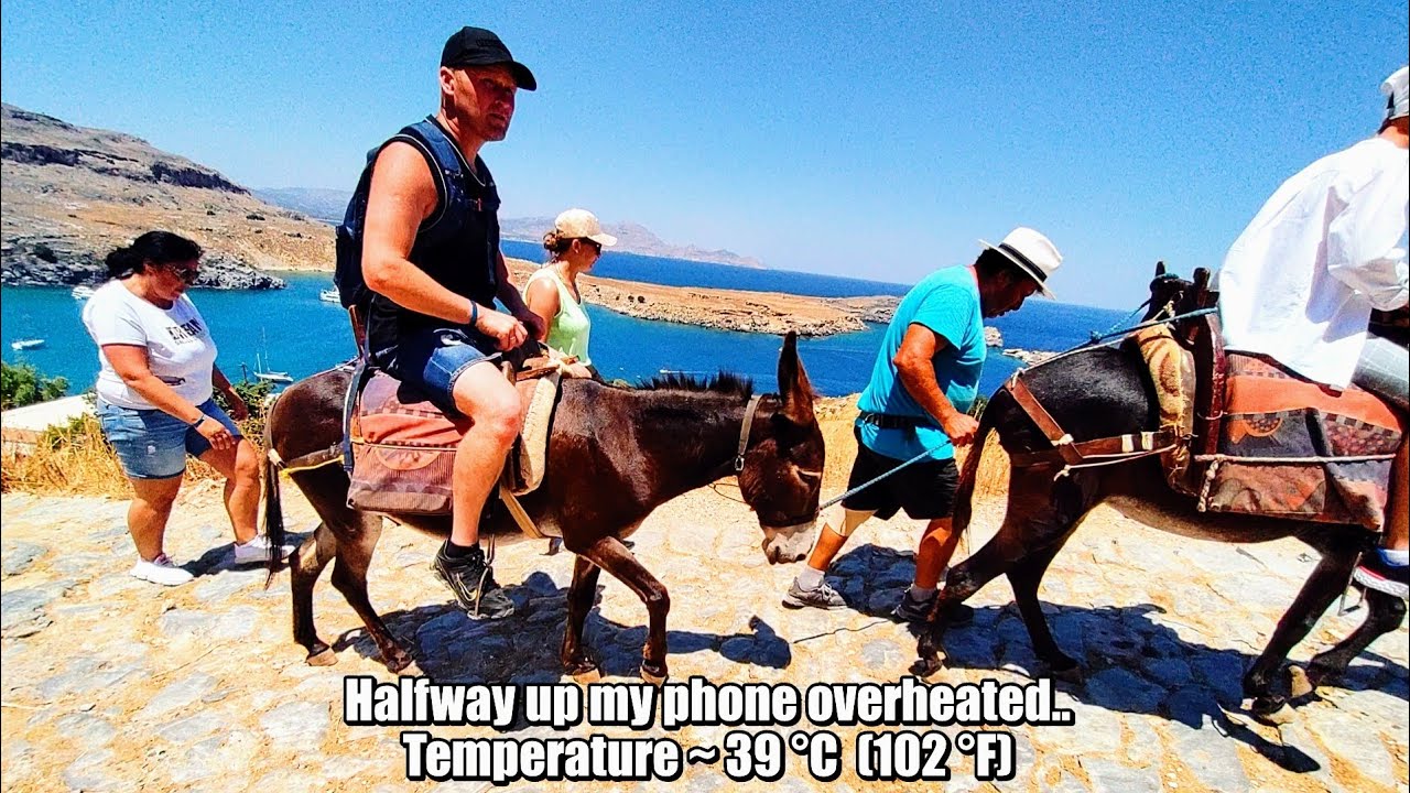 Lindos Donkeys - Lindos Taxi Rhodes island - YouTube