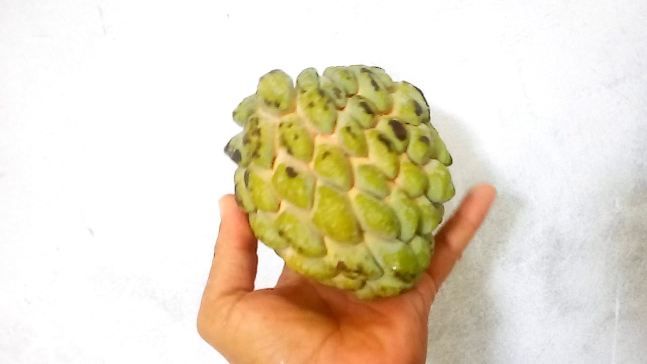 Zaramuyo : una fruta deliciosamente exquisita de sabrosura.camarógrafo ...