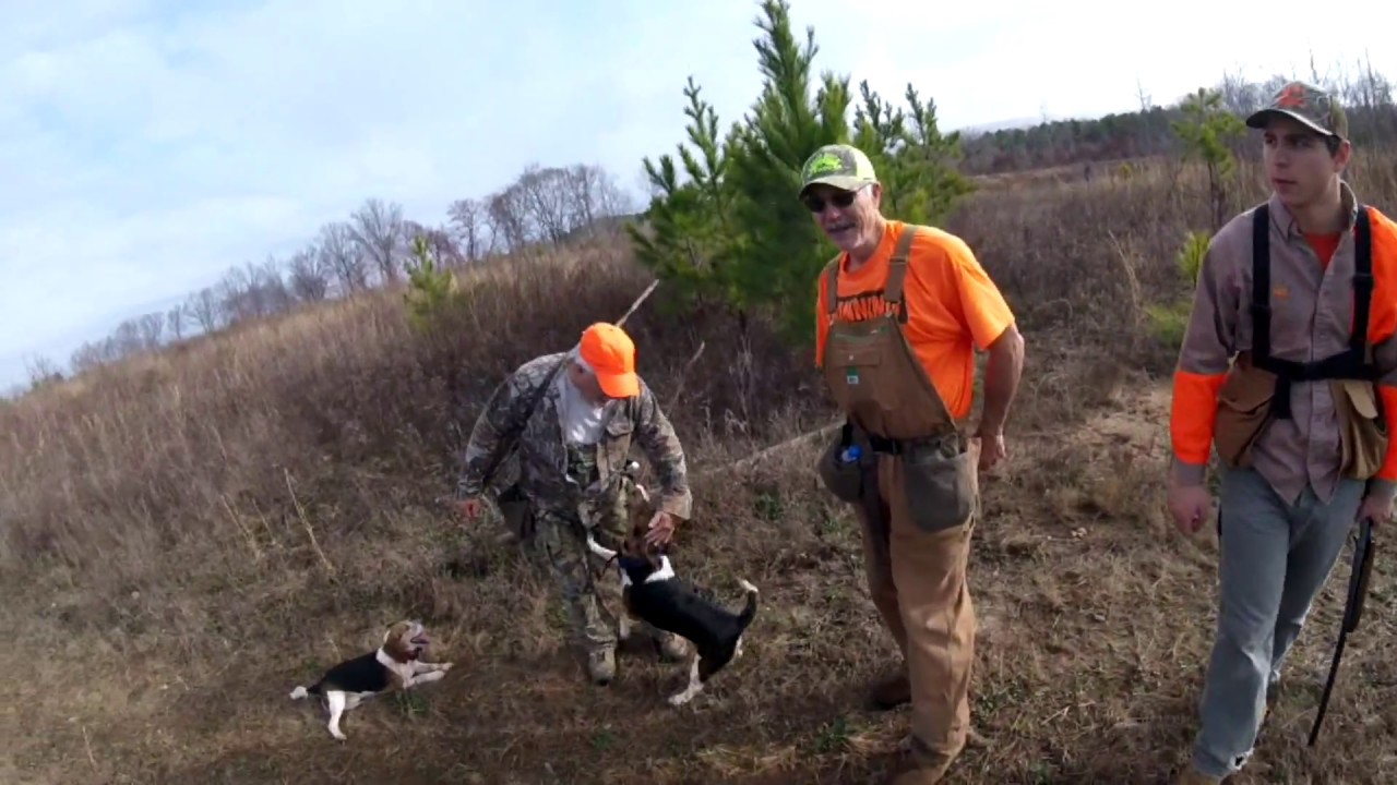 Rabbit hunting 2018 highlights - YouTube