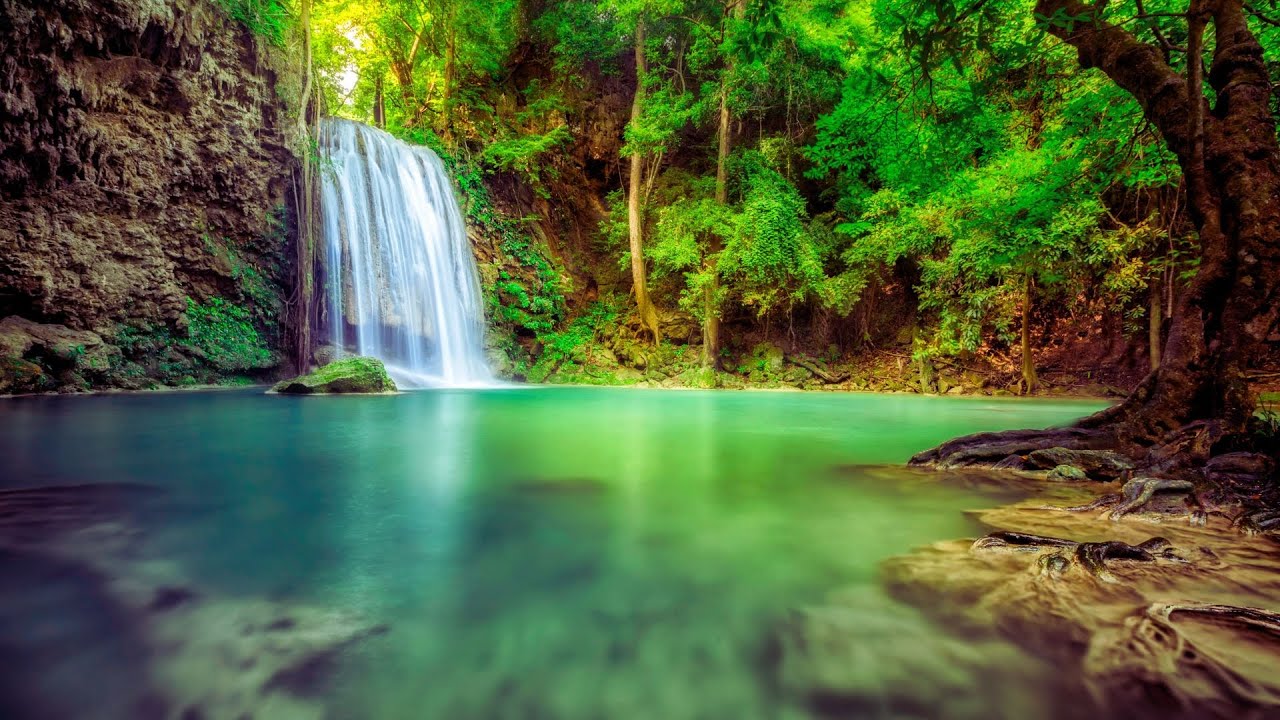 Relaxing music 24/7, calm music, relaxing, calm sound to sleep, music ...