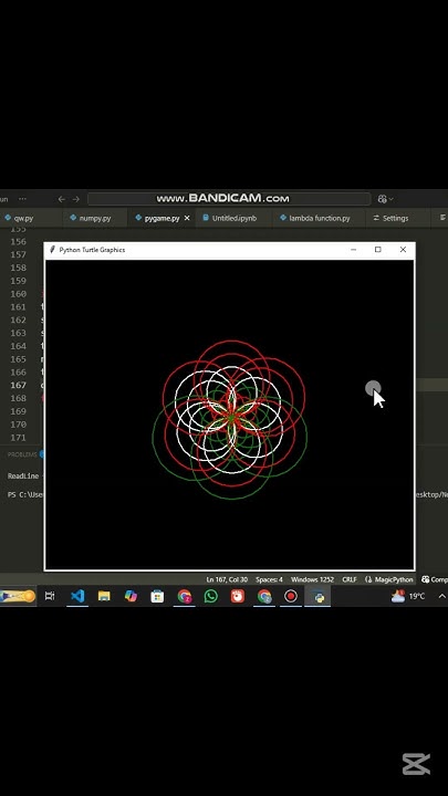 Insane Turtle Art in 10 Seconds! 🔥🐢 #Python #viral #programming - YouTube