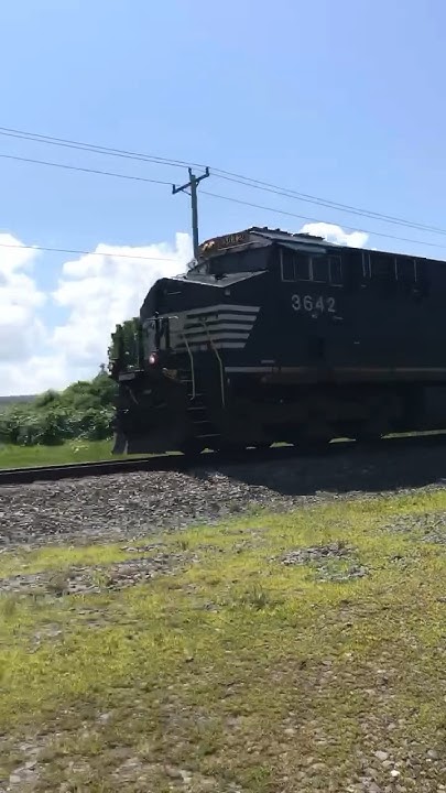 NS 3642 Leads A Quick Stack Train! #train #railfan - YouTube