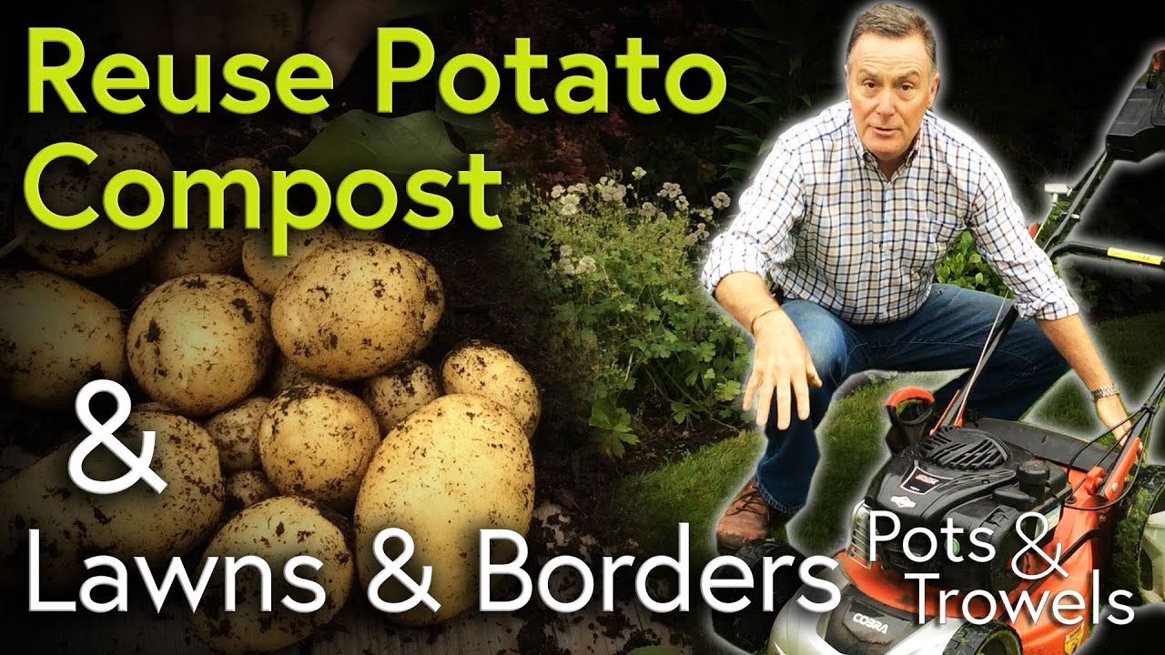 How to Reuse Potato Compost for Salads & Tidy Lawns & Borders - Pots ...