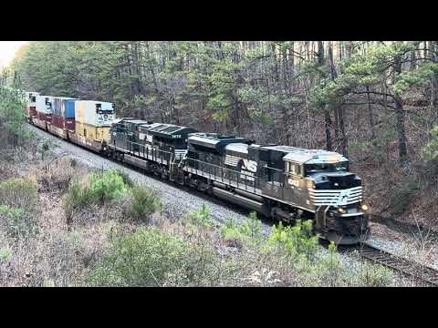 NS 275 - YouTube
