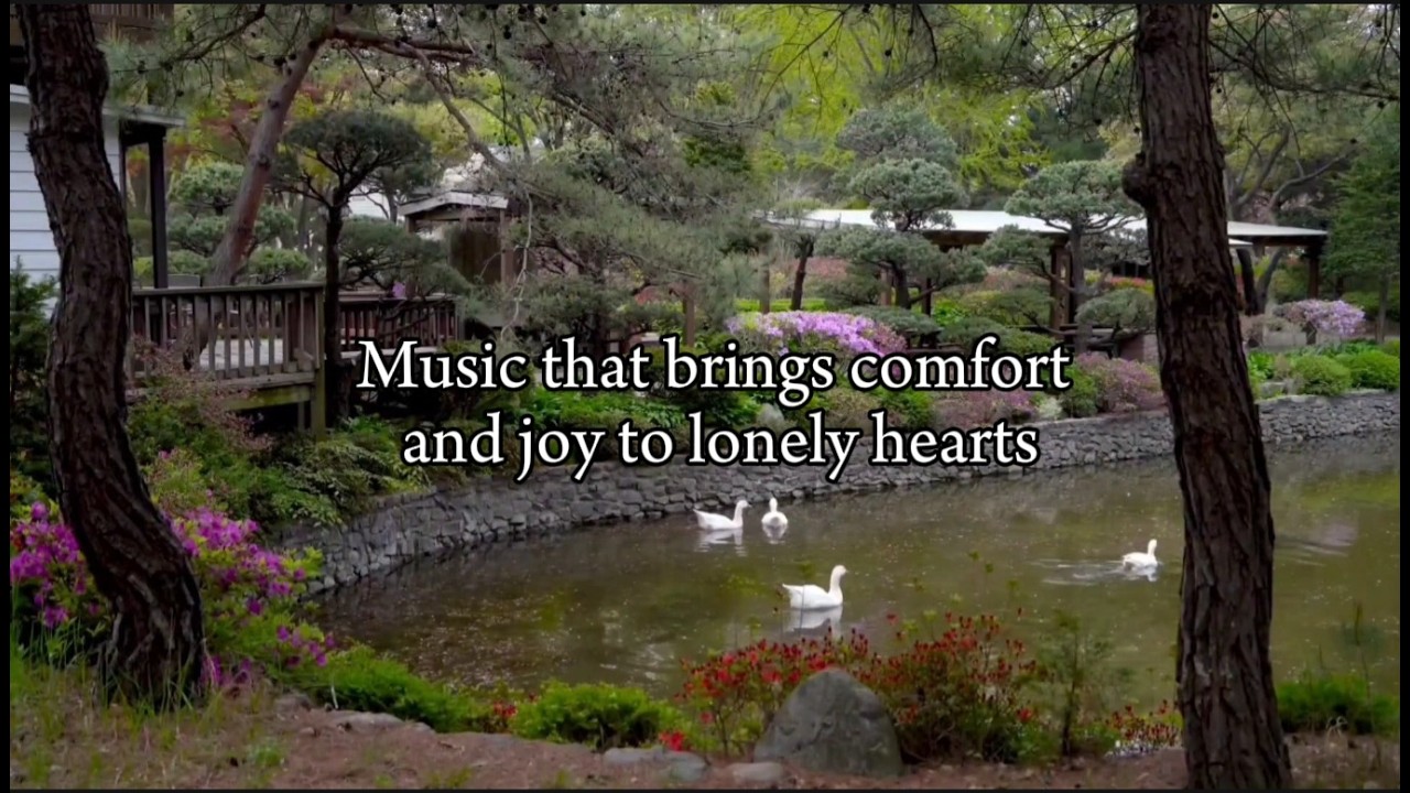 Music that brings comfort and joy to lonely hearts|Listening to 4 ...