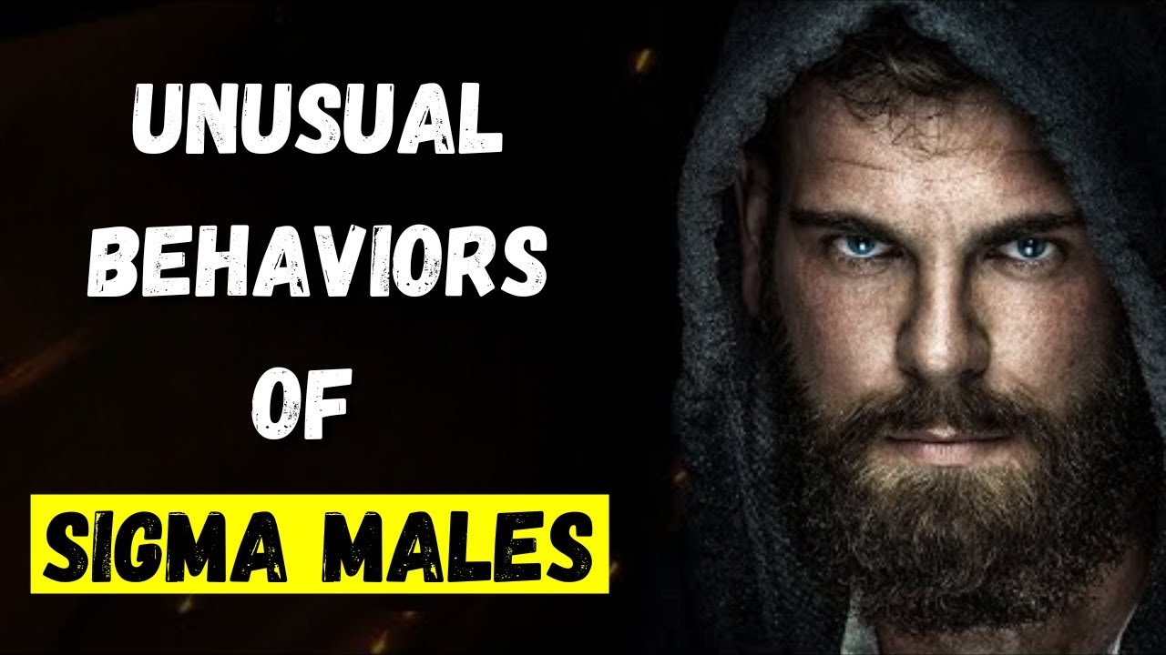 Unusual Behaviors of Sigma Males: 7 Surprising Traits You Didn't Know! - YouTube