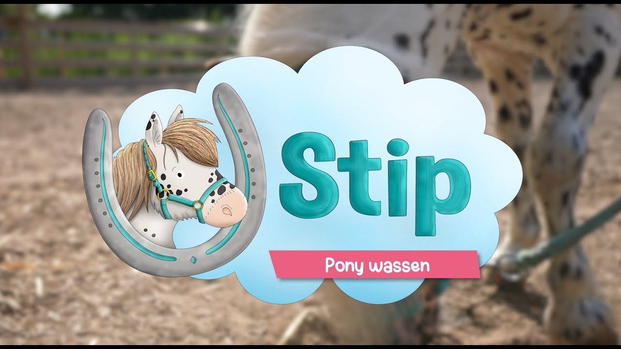 Pony wassen met Stip de Pony! - YouTube
