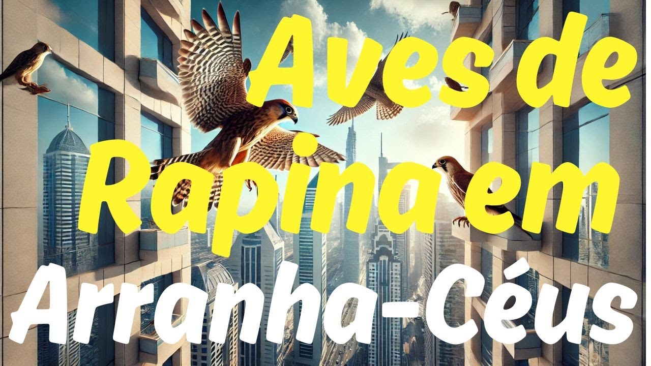 Aves de rapina que vivem em arranha céus - YouTube