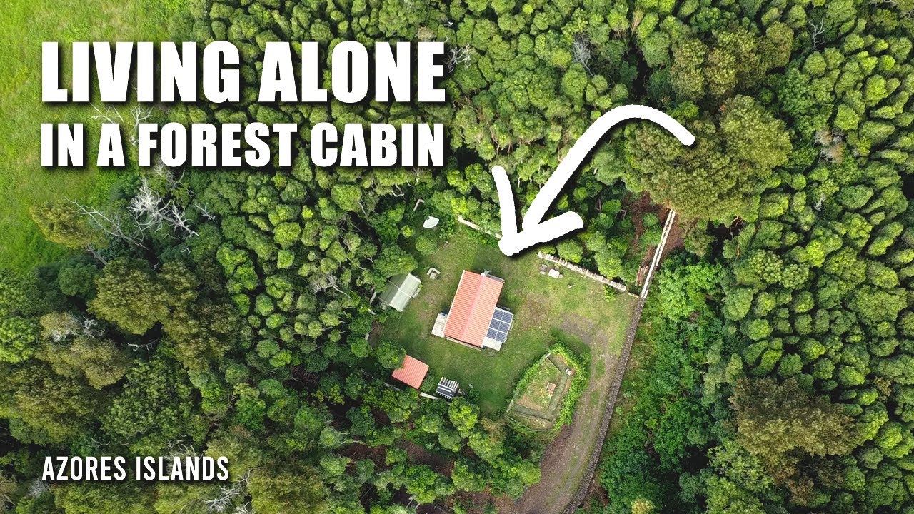 LIVING OFF THE GRID ALONE IN A SELF-BUILD CABIN FOR TWO YEARS | AZORES ...