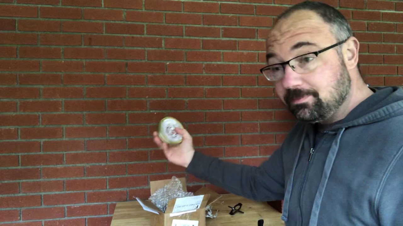 My first YABO - YouTube