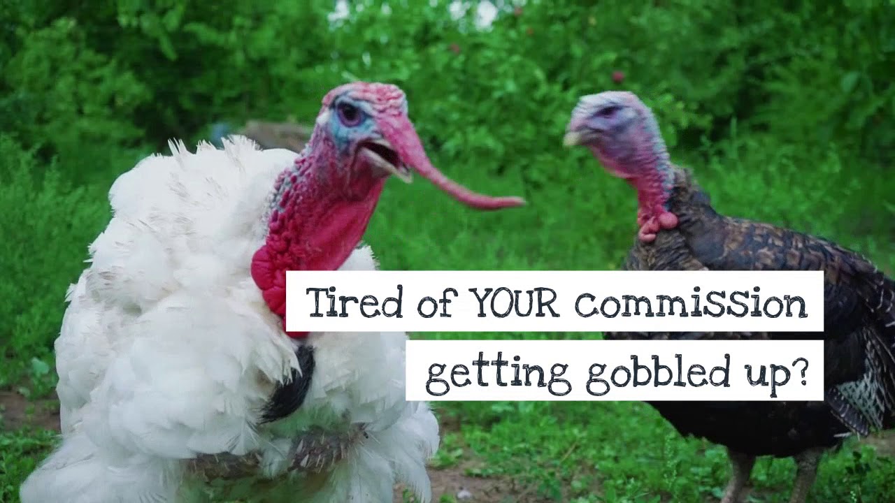 Gobble, Gobble! - YouTube