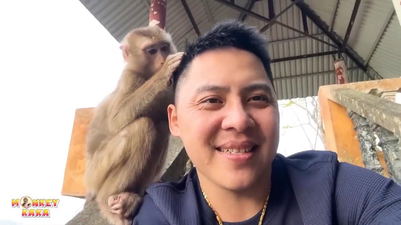 Monkey Kaka's small actions also make dad remember forever - YouTube
