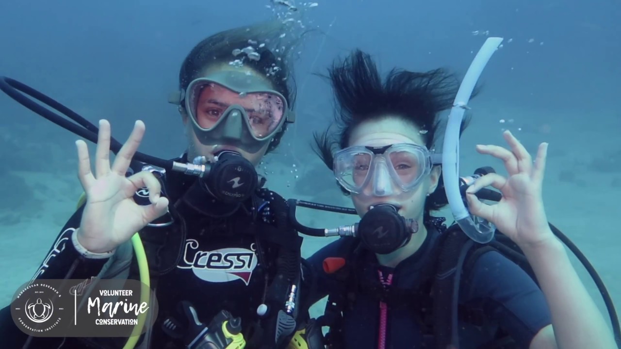 MRCI Volunteer Marine Conservation Program - YouTube