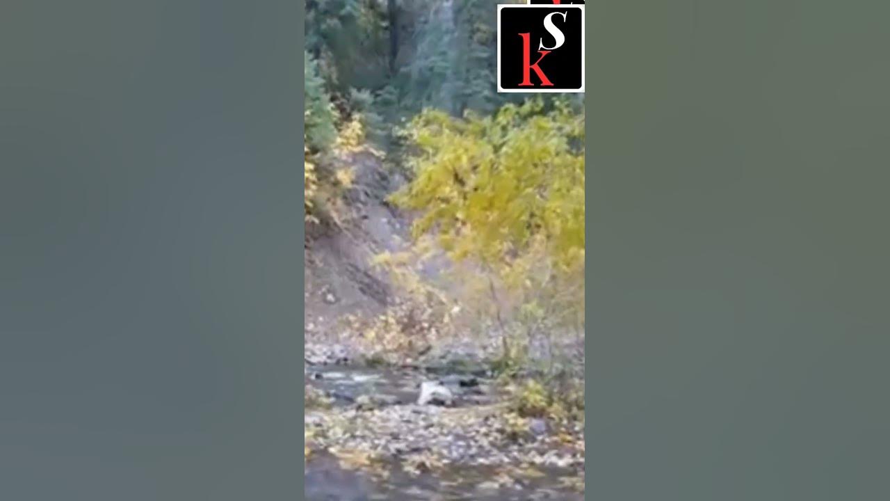 9 ال عمران ان الذين يكفرون بايه الله ويقتلون النبيين بغير حق Youtube