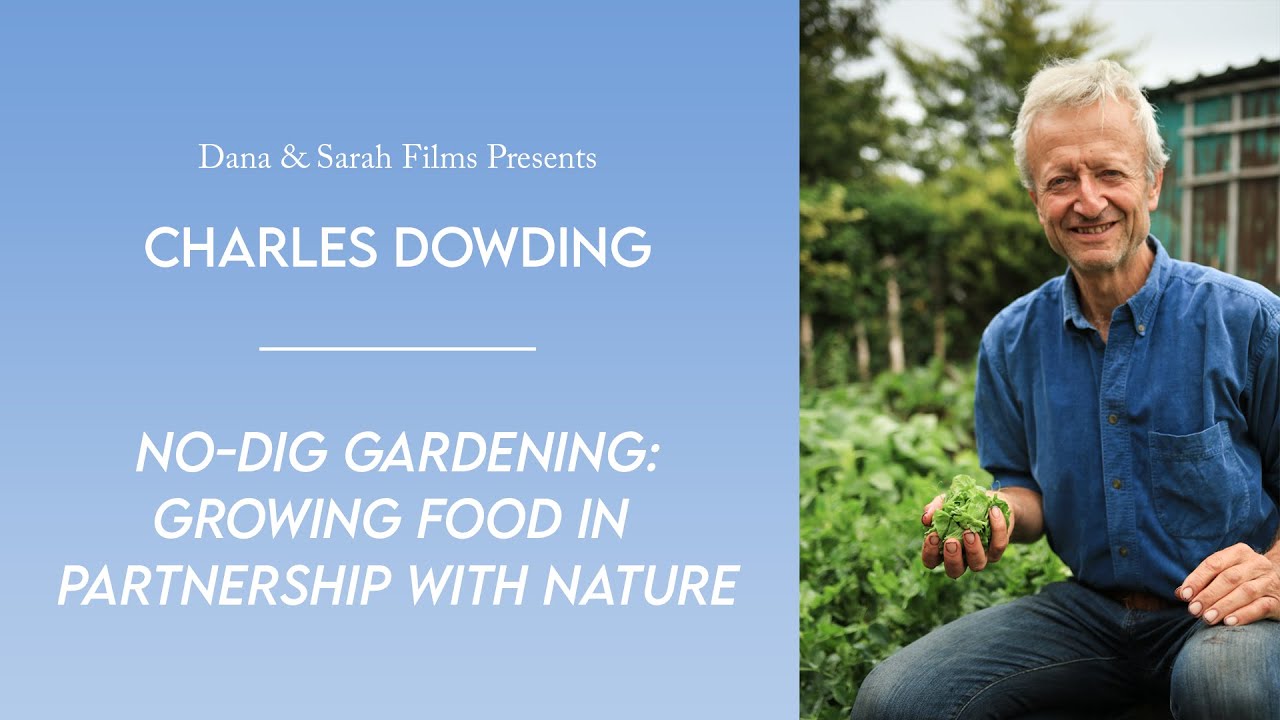 Charles Dowding - 5 Ways to Compost Wood Chips - YouTube