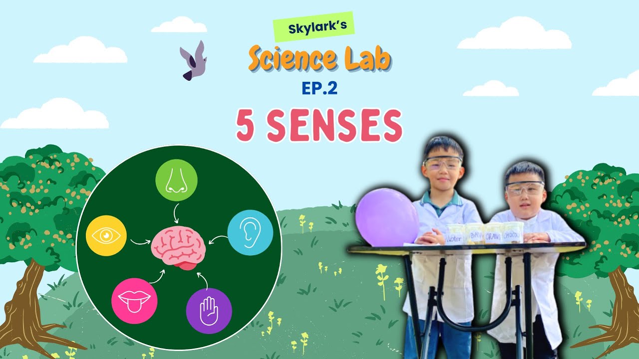 Tập 2 - 'Five senses - 5 Giác quan' - Skylark's Science Lab - YouTube