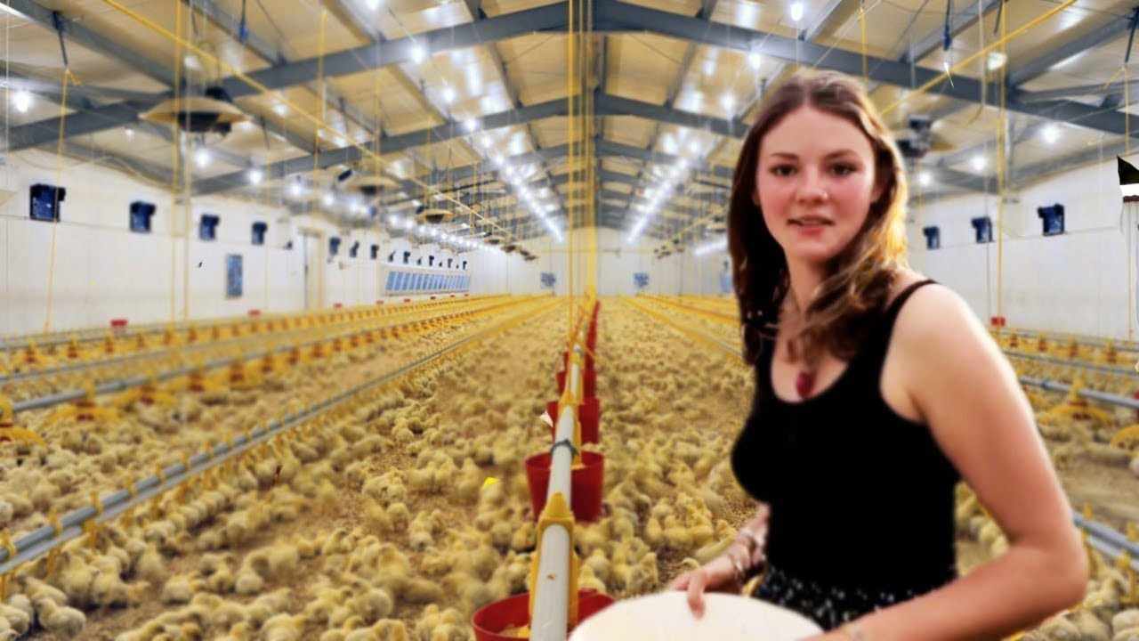 High quality broiler feed. Save money by making your own broiler feed ...