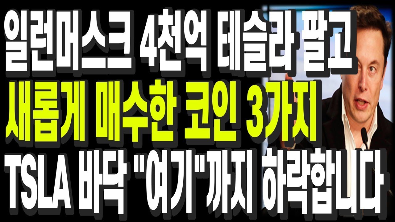 비트코인 리플 도지코인 이더리움 일런머스크 4천억 테슬라 팔고 새롭게 매수한 코인 3가지 Tsla 바닥 여기까지 하락합니다