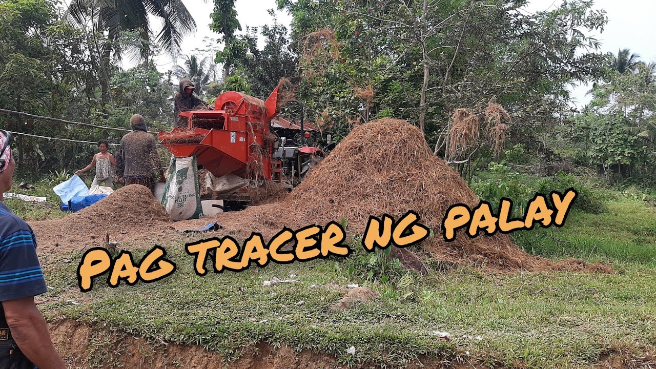 Pag Tresher Ng Palay na Bagong Ani - YouTube