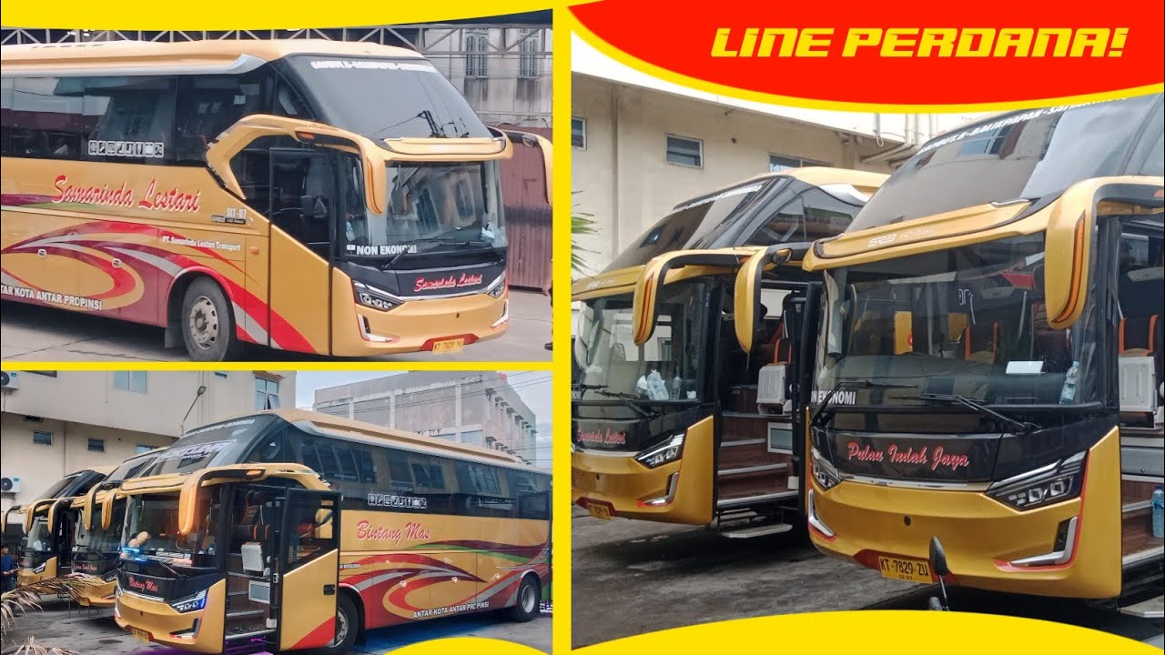 LINE PERDANA!!! H-3 PUASA! Unit baru! artisnya reborn! hunting bus ...