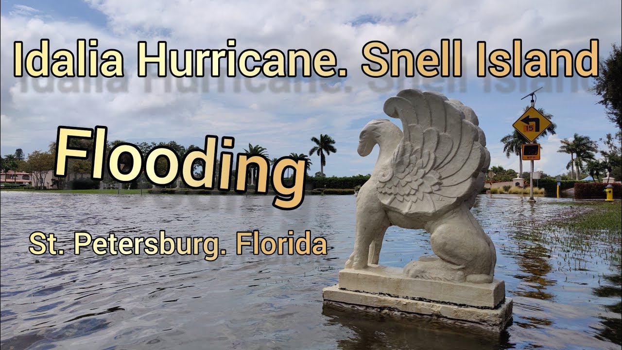 Idalia Hurricane. Flood in St. Petersburg. Snell Island - YouTube