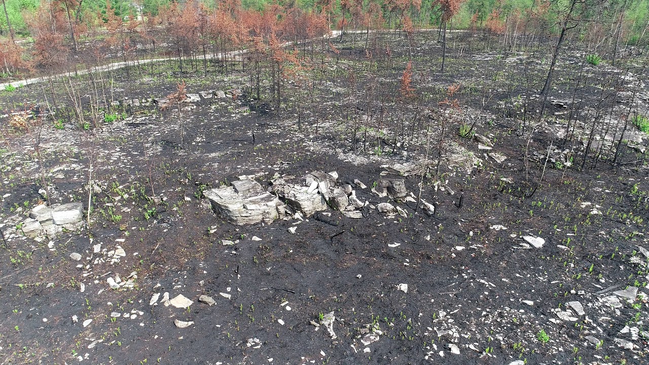 Altona Flat Rock Fire Re-Growth 3 - YouTube