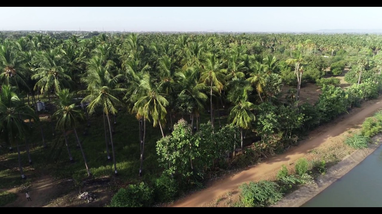 Drone Shots of Chatrapatti, Madurai district Village in Tamil Nadu ...