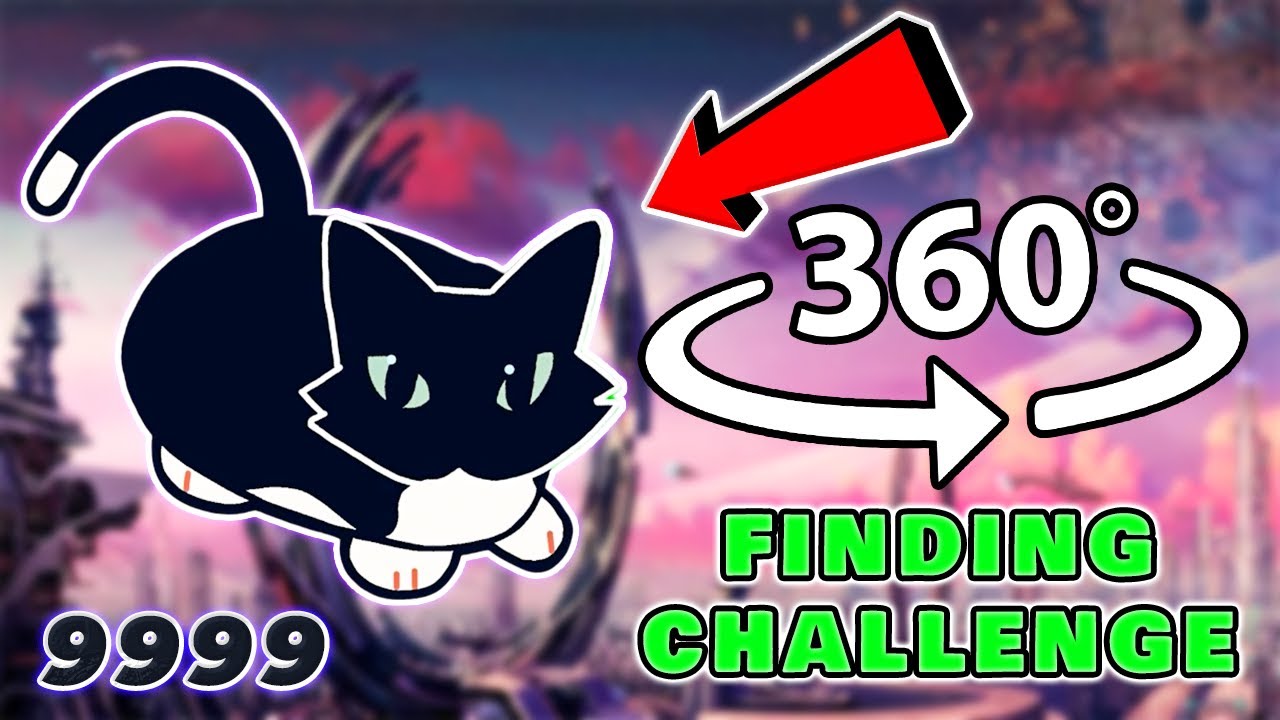 360° Maxwell Cat - FIND MAXWELL CAT | VR/360 Video 🔎💥 - YouTube