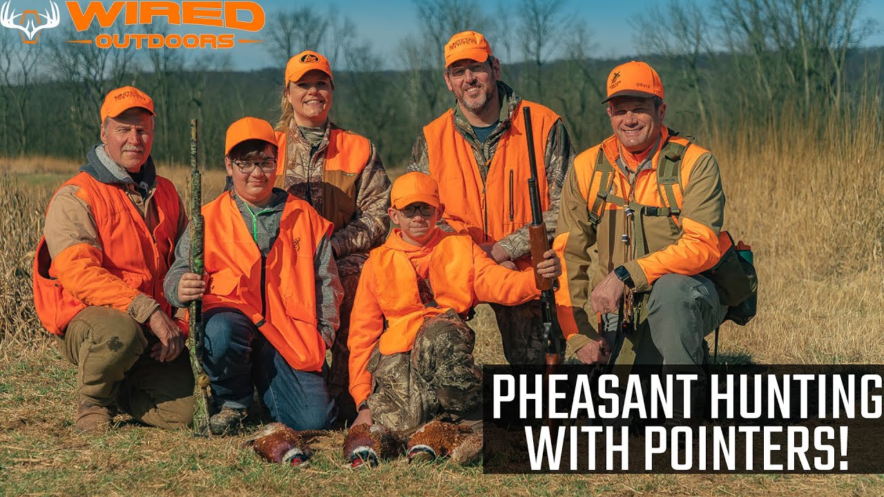 Pheasant Hunting with Pointers! - YouTube