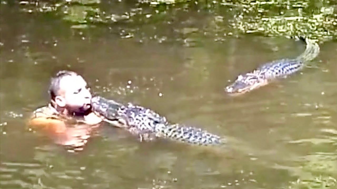 MAN AND BEAST - Part 40 - Great Animal Compilations - YouTube