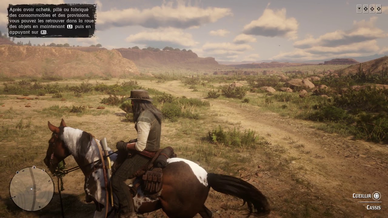 Red Dead 2 Online : Cassis - Cholla Springs Est (New Austin Nord) - YouTube