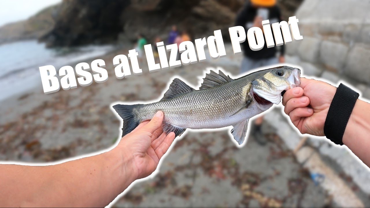 Fishing Cornwall - Lizard Point Bass - YouTube