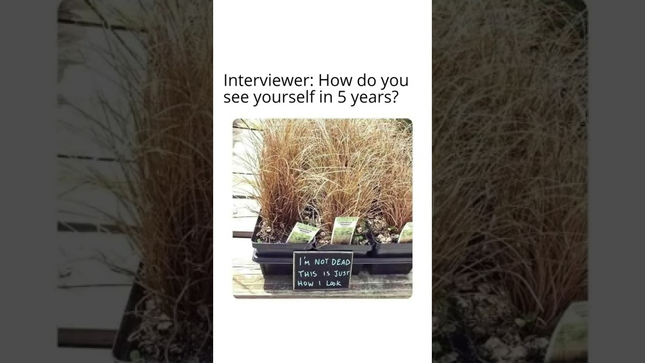 Daily FUNNY Memes | Funny Memes Compilation #MEMES #Memesdaily #Shorts ...