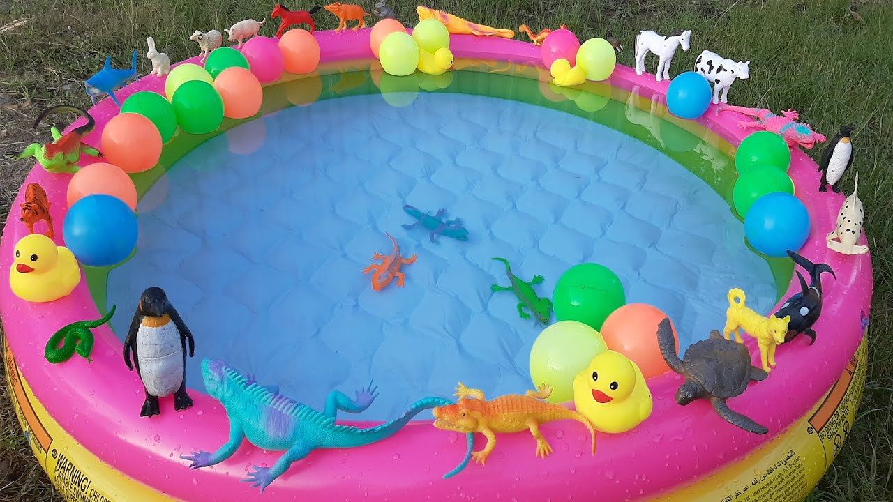 Farm Animals in Pool of Water | Animals Tv - YouTube