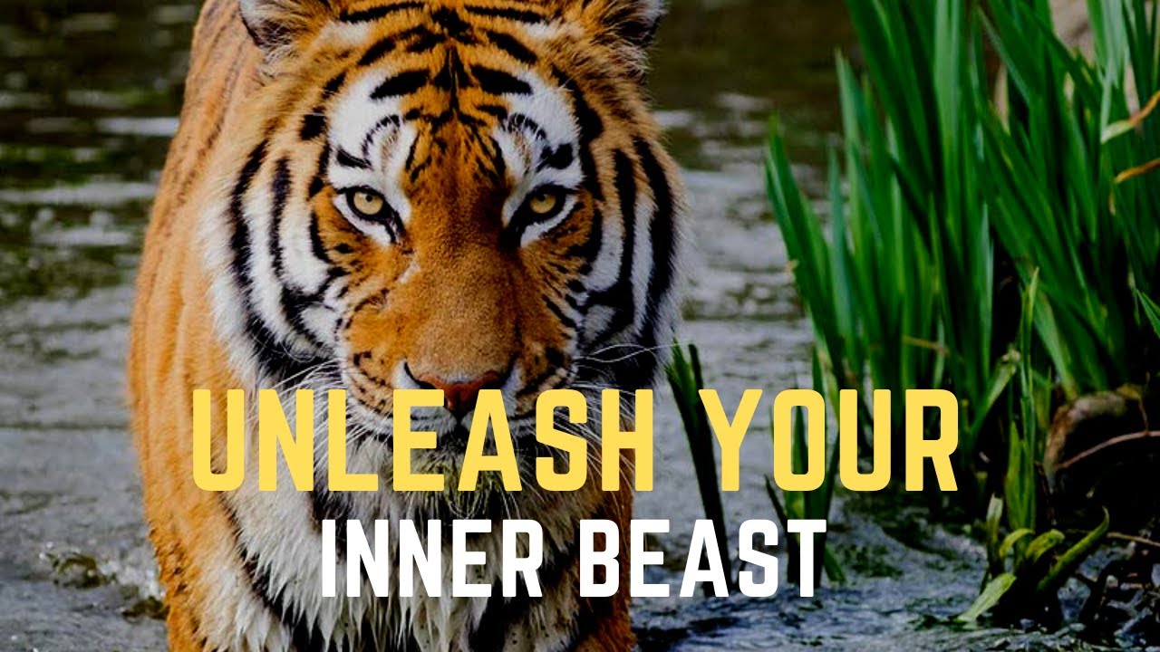 UNLEASH YOUR INNER BEAST - Motivational Video Compilation - YouTube