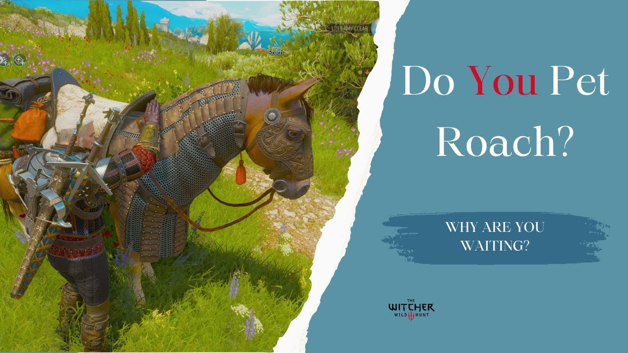How to Pet Roach in The Witcher 3: Wild Hunt - YouTube