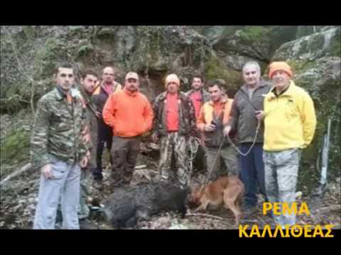 ΚΥΝΗΓΙ ΑΓΡΙΟΧΟΙΡΟΥ 2017-2018 ΟΙ ΜΠΕΛΑΛΗΔΕΣ - YouTube