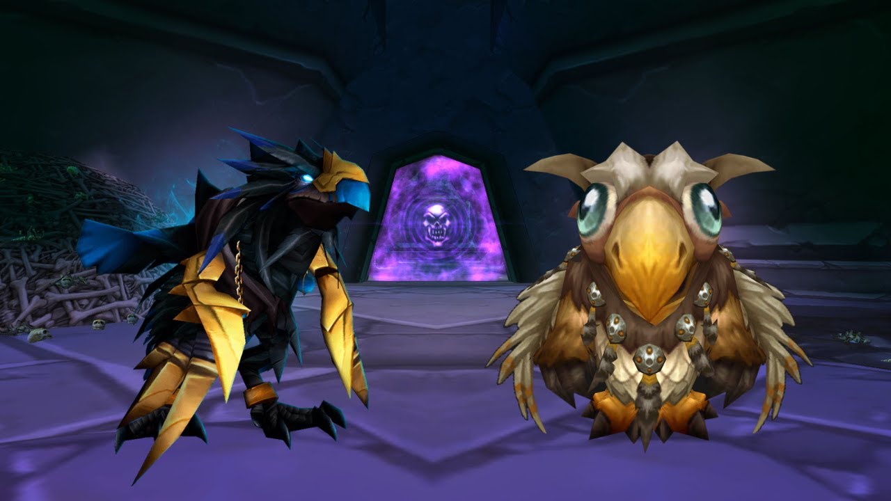 Anzu Solo - Boomkin - Wotlk Classic - YouTube