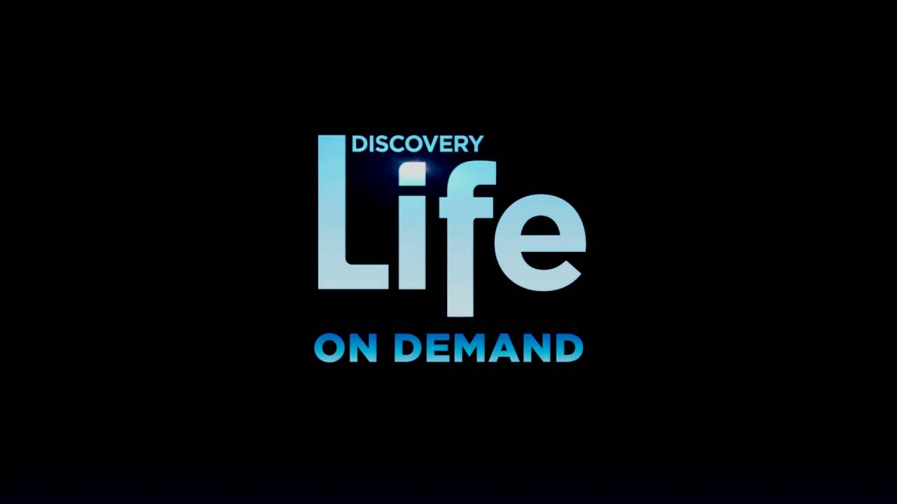 Discovery Life On Demand #2 - YouTube
