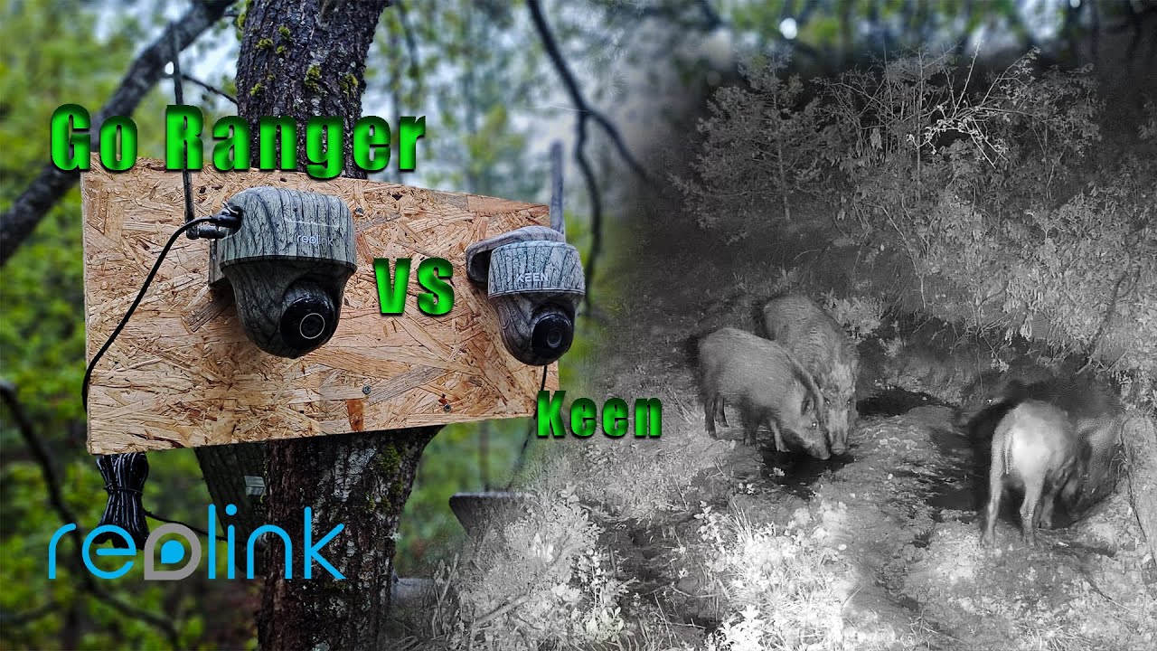 Go ranger by Reolink. New trail camera 4K / Raptis team hunting - YouTube