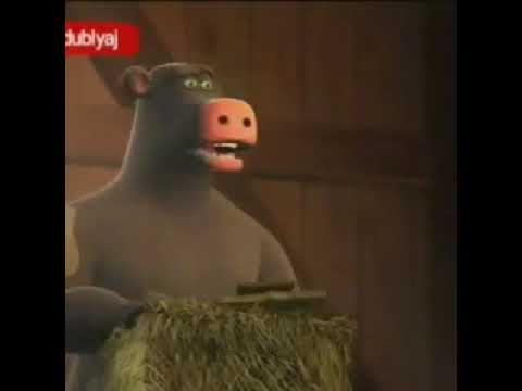 Молларга паспорт дубляж