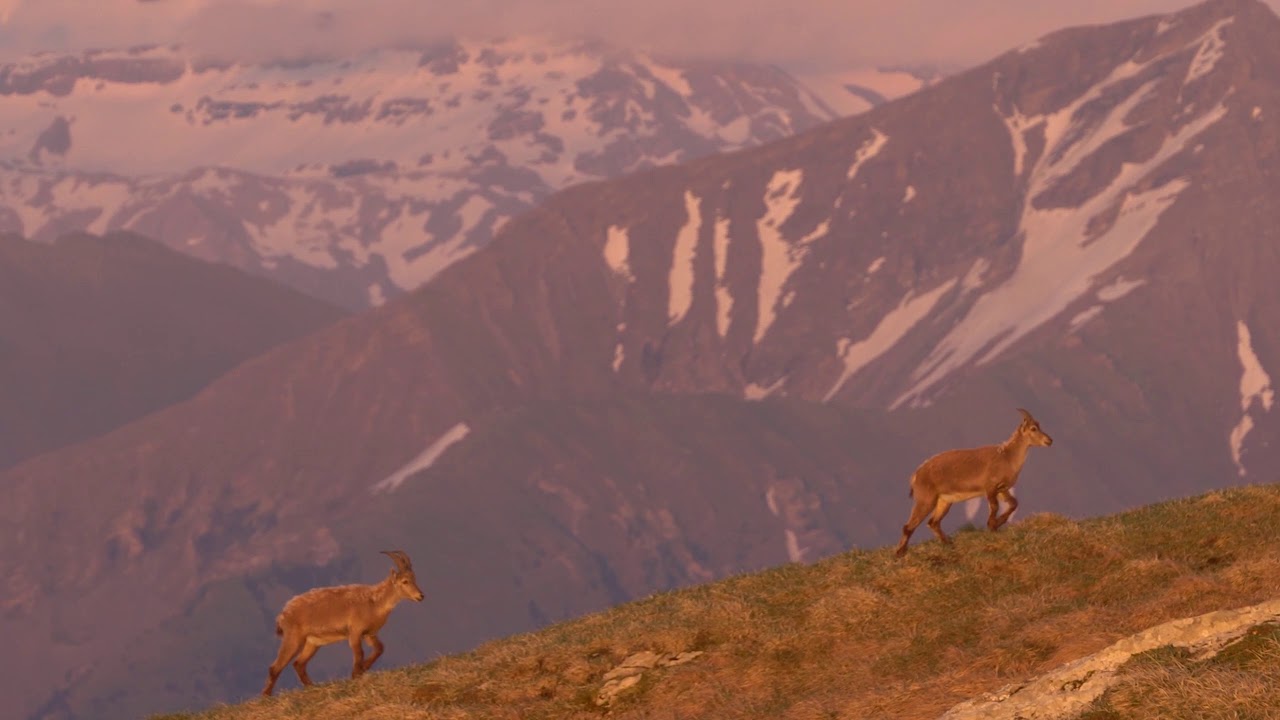 Pointe de Paray - Préalpes fribourgeoises - YouTube